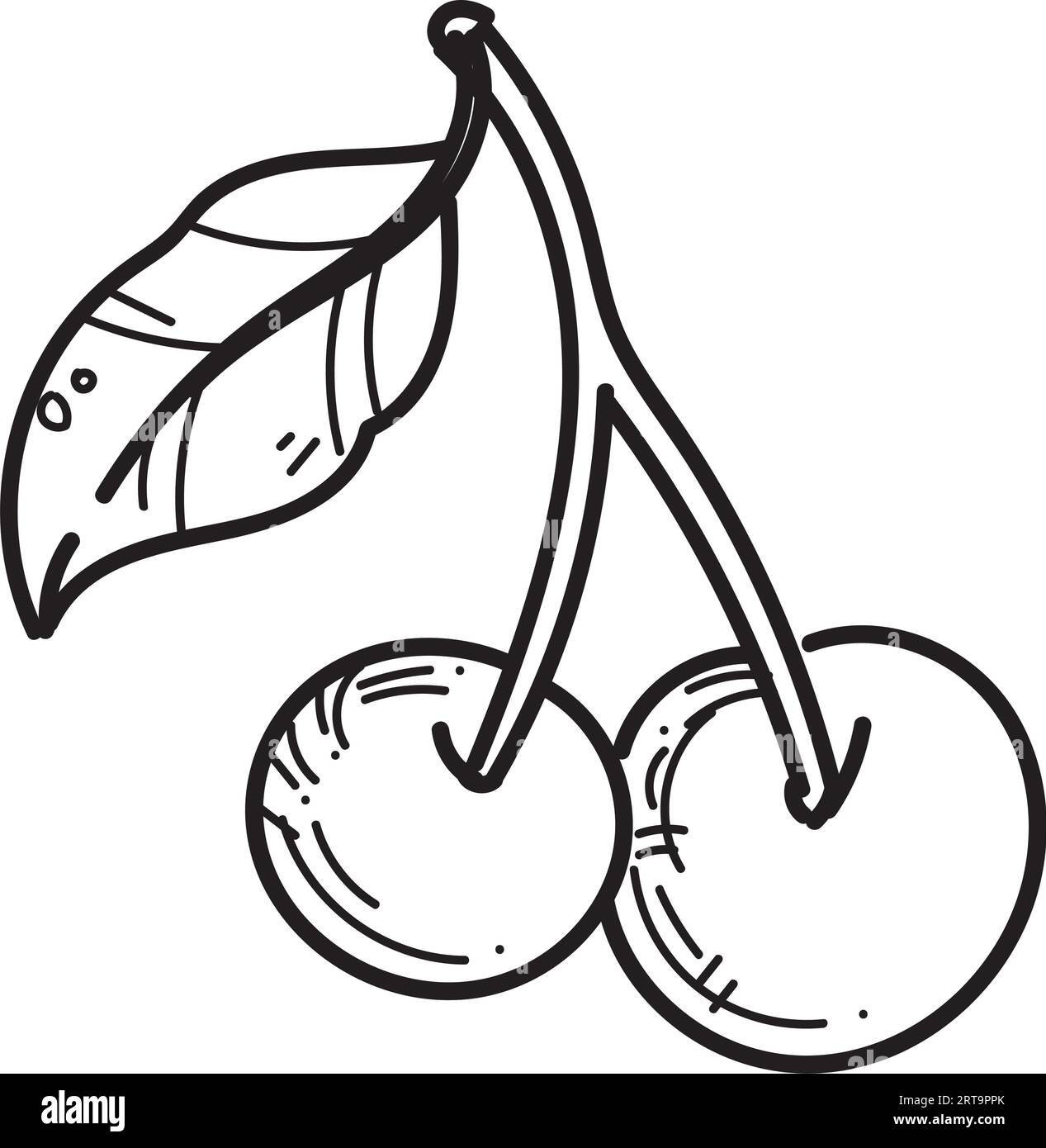 colorless cherry illustration Stock Vector Image & Art - Alamy