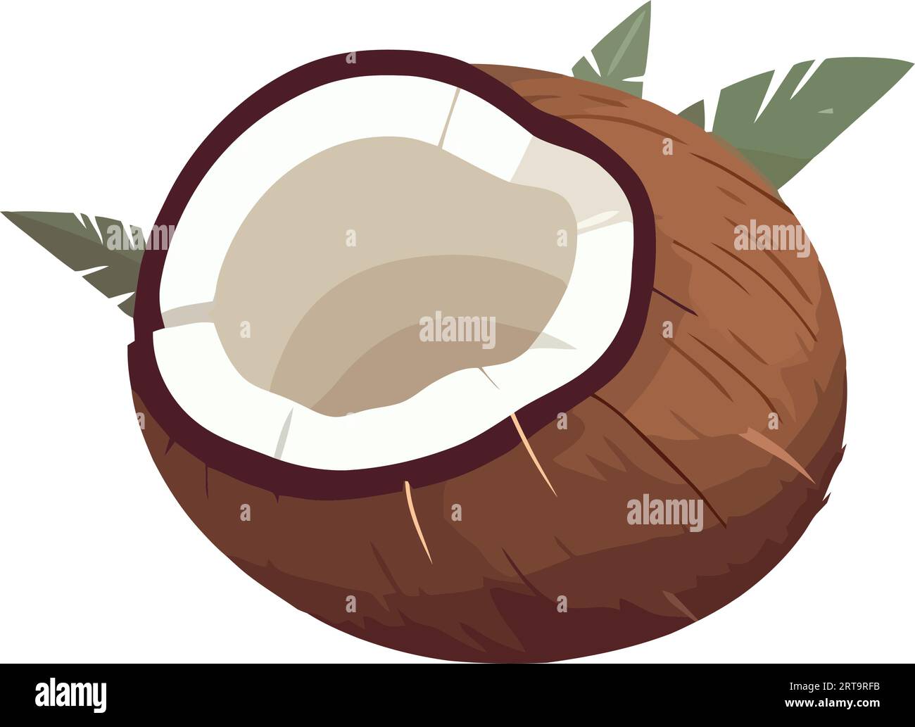 Palm tree close up Stock Vector Images - Alamy