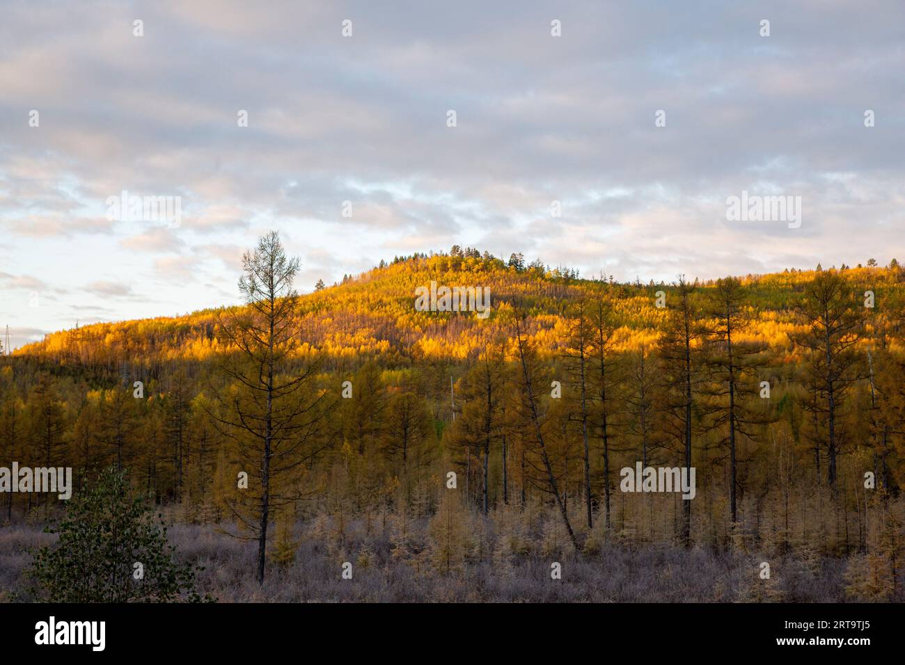 Sept 12 2023 hi-res stock photography and images - Alamy