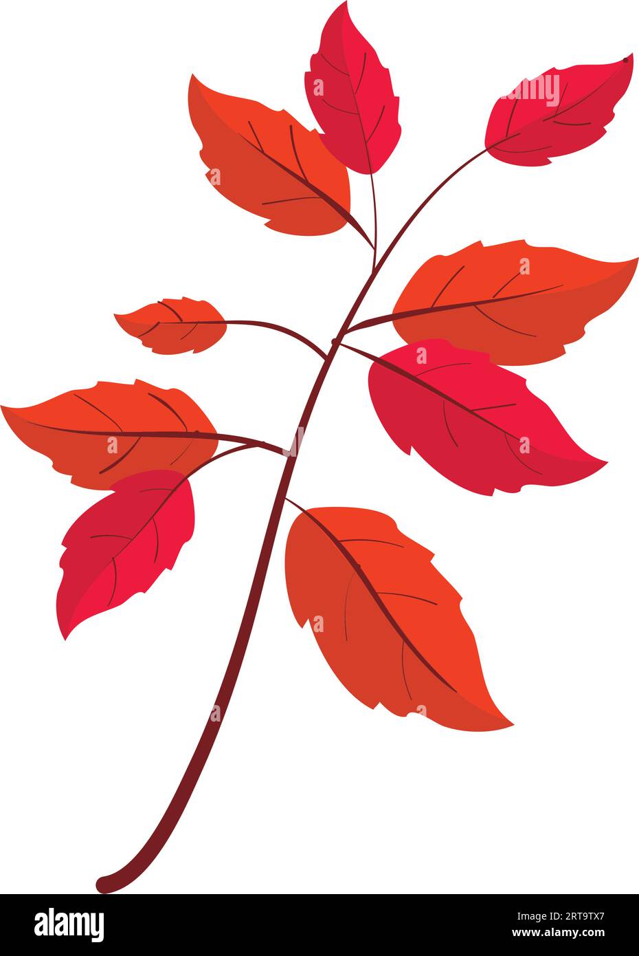 autumn leaves branch Stock Vector Image & Art - Alamy