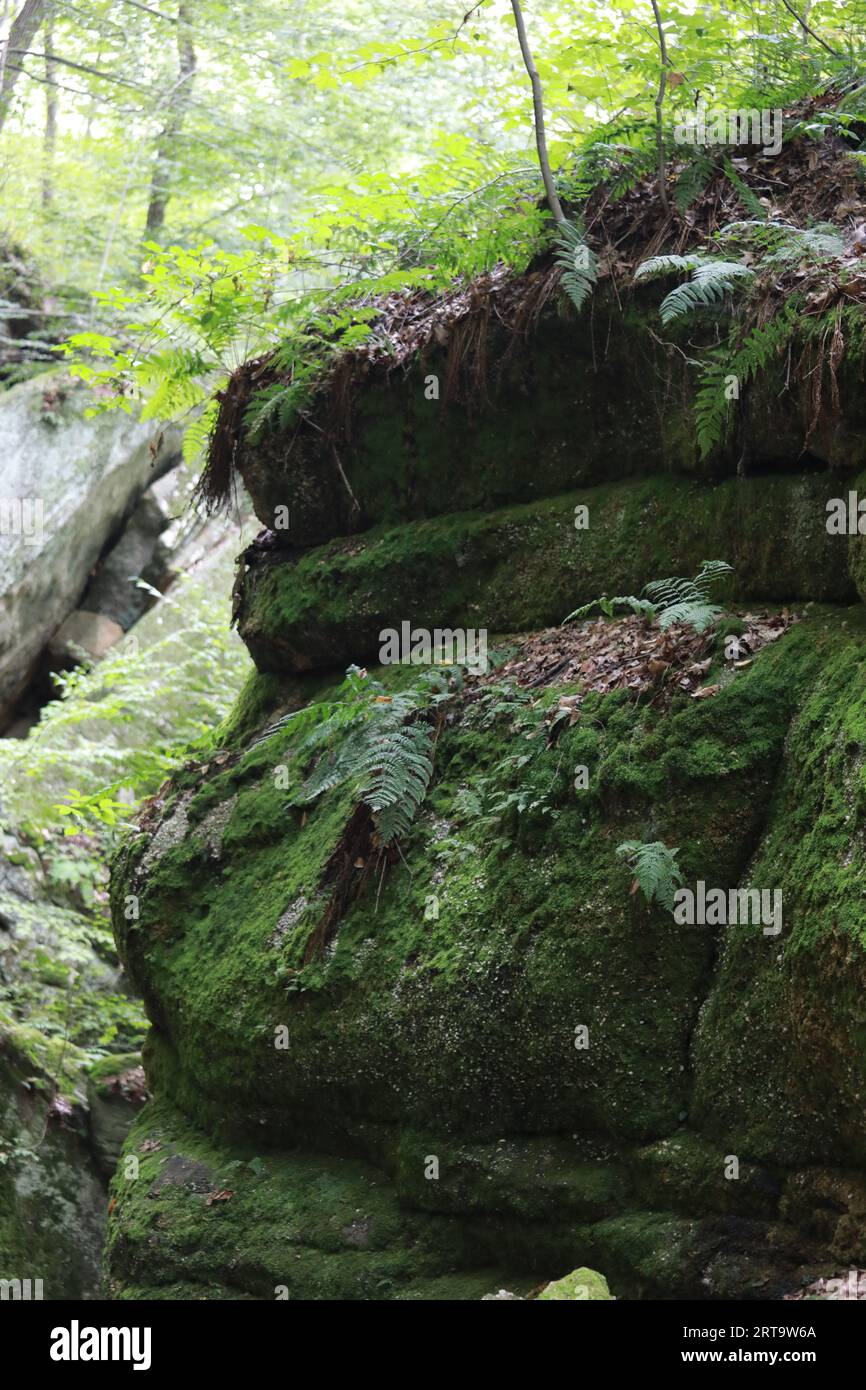 Raining climate hi-res stock photography and images - Alamy