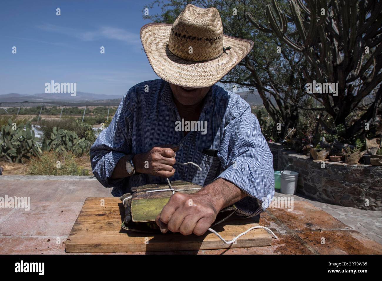 Typical food from Hidalgo, Ximbo Stock Photo - Alamy