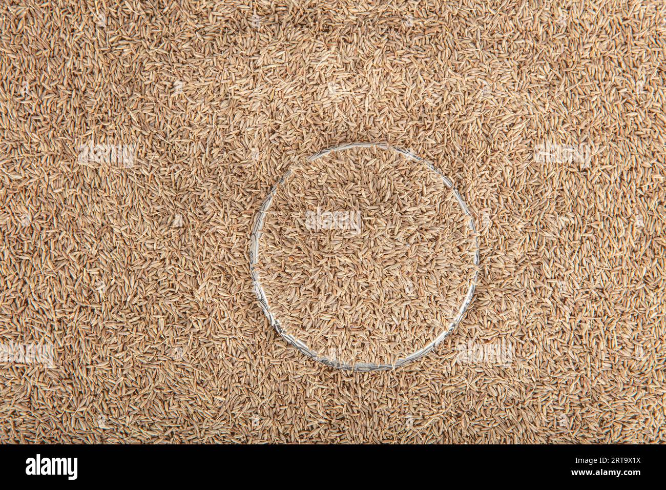 Fennel Powder and Fennel seeds, South Indian Cooking Ingredient, masala ...