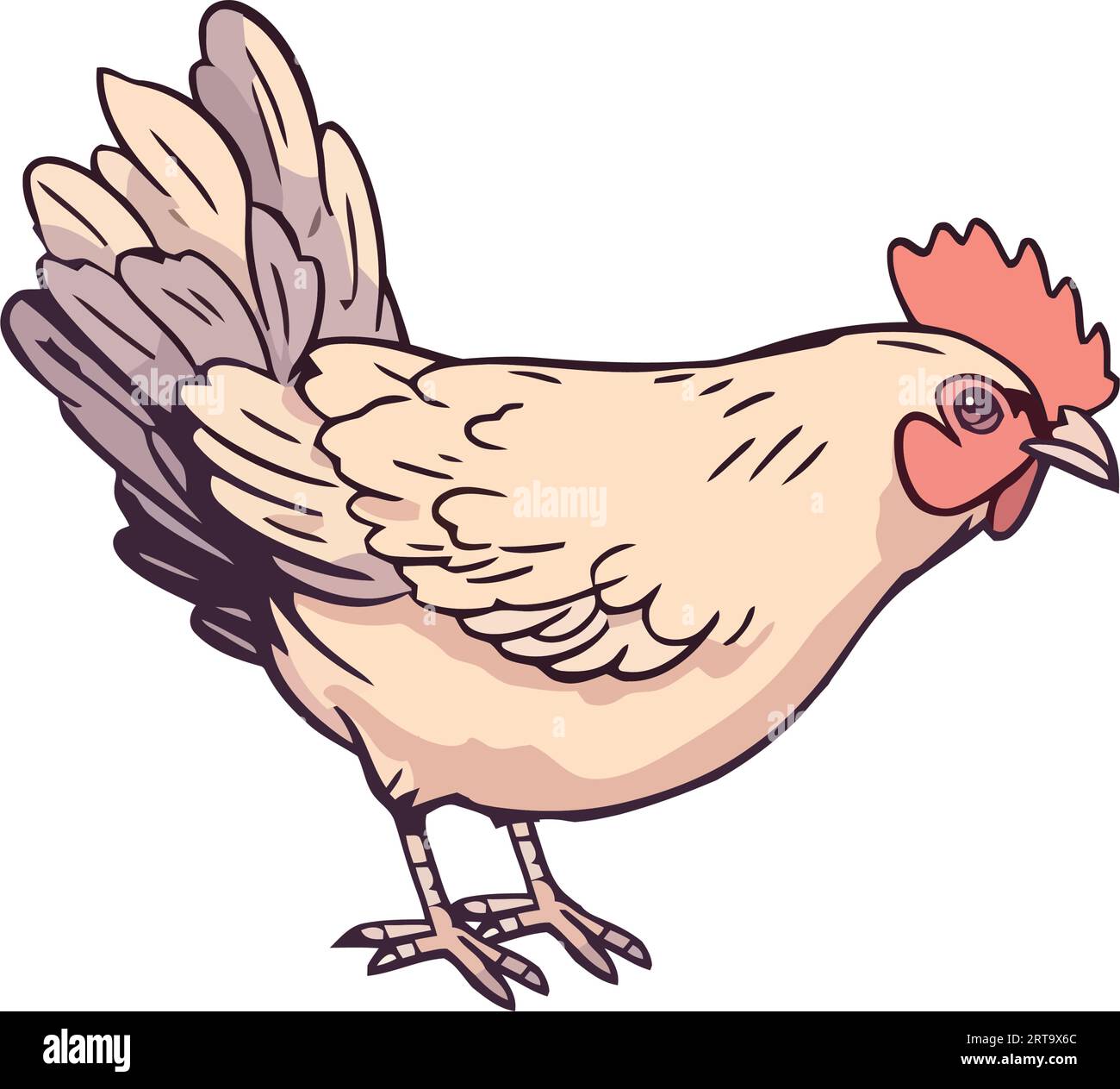 Cute hen on farm, feathers flying, symbol of rural freedom Stock Vector ...
