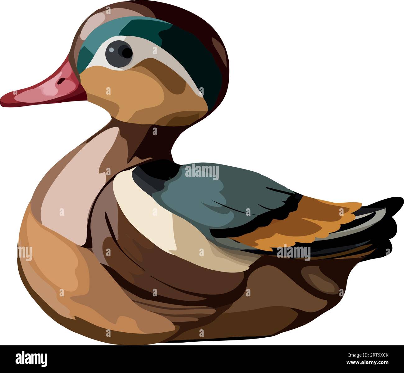 Cute duckling quacking in nature Stock Vector Image & Art - Alamy