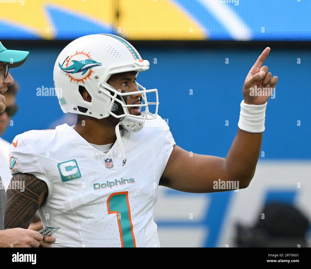 Tua dolphins 2023 hi-res stock photography and images - Alamy