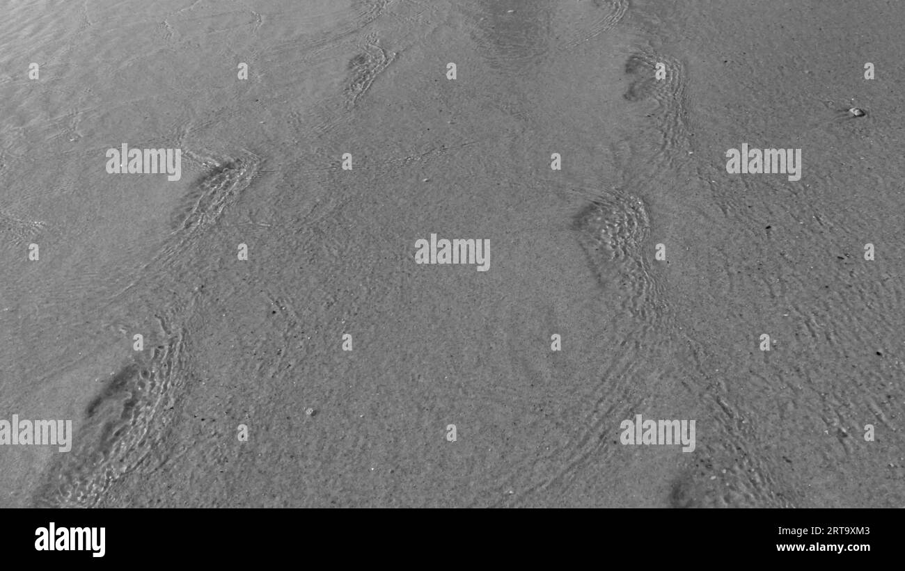 Following footprints on Beach Shore at Low Angle. Black and white scene ...