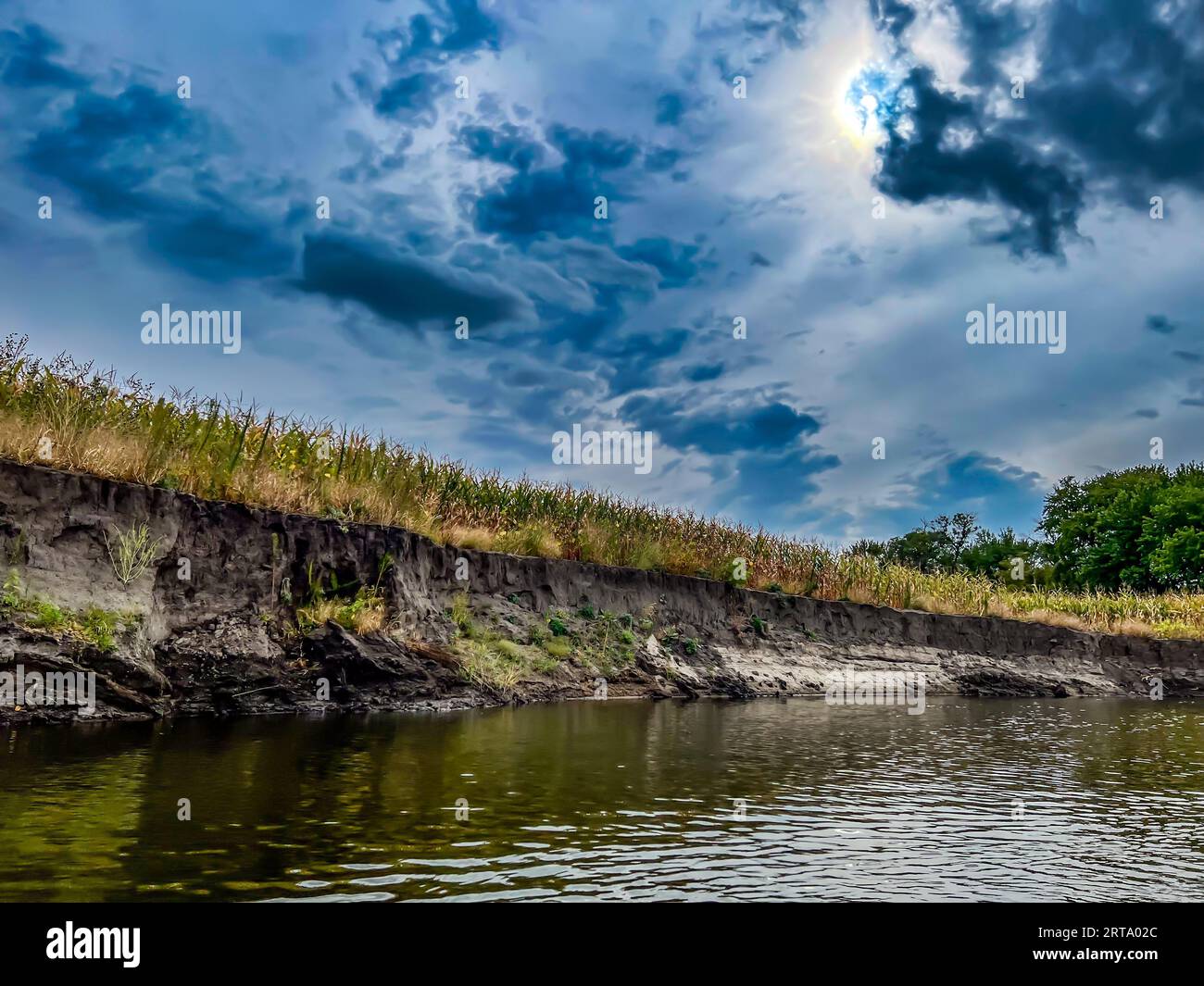 Bad farming practice of planting row crops to the edge of a waterway ...
