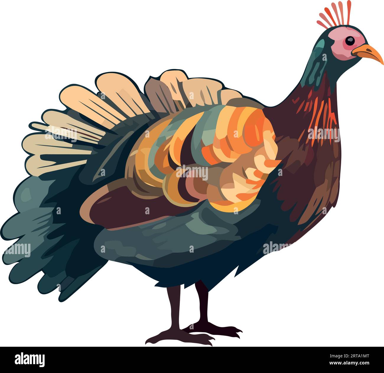 turkey bird standing on white background Stock Vector Image & Art - Alamy