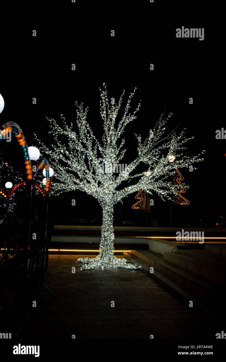 Tree wrapped in lights hi-res stock photography and images - Alamy