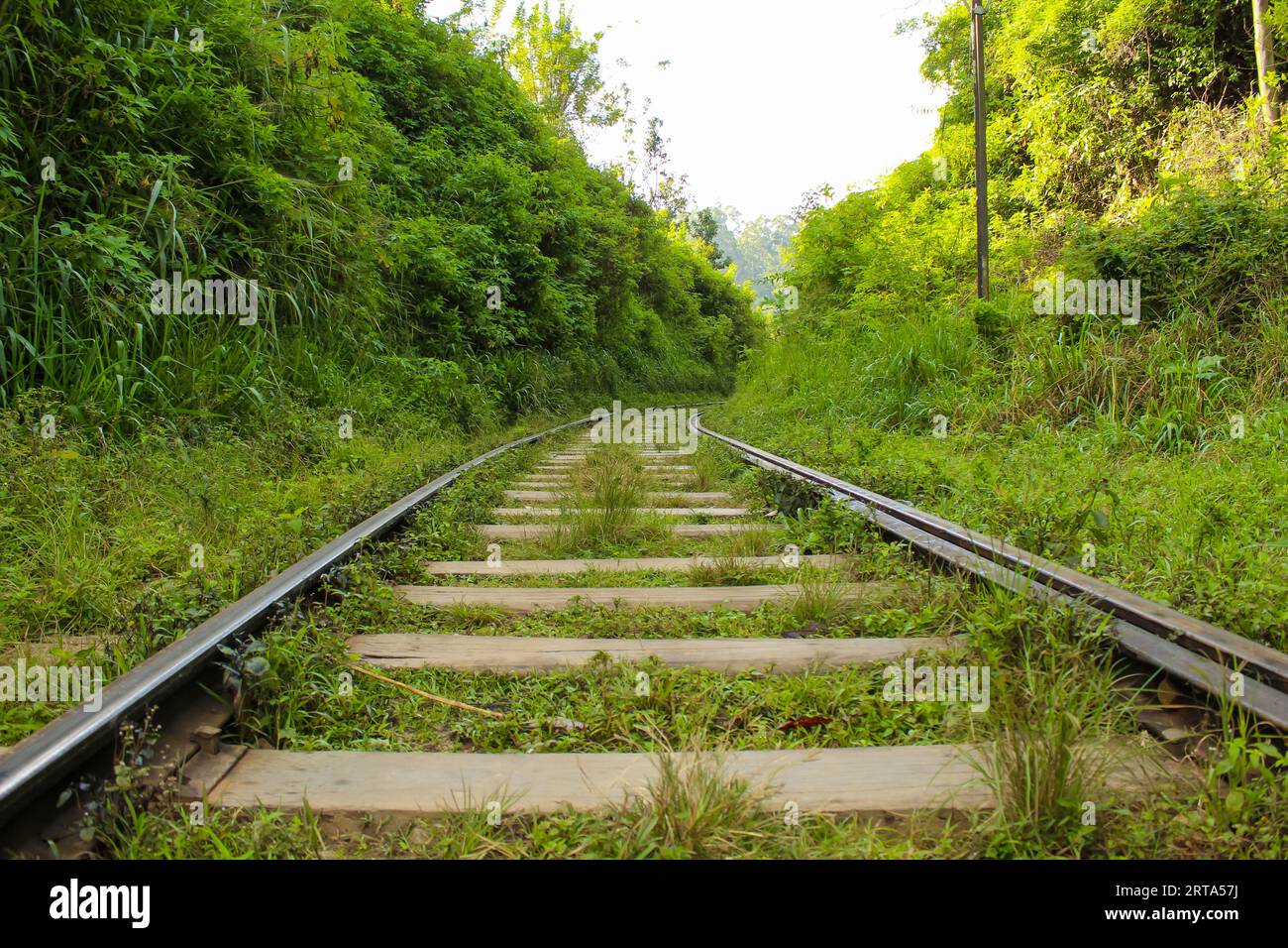 Close up on the train tracks to Ella Rock, Sri Lanka. Close up on rails ...