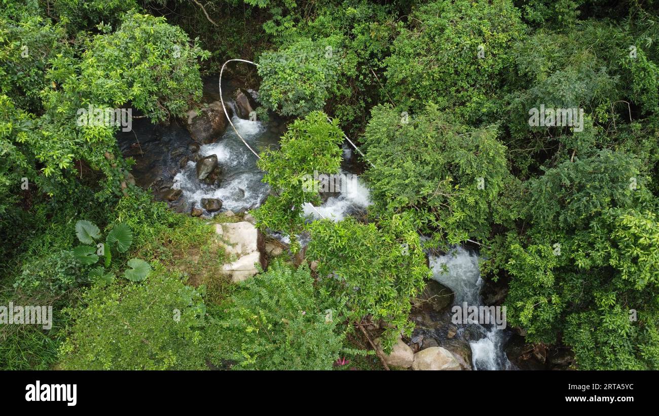 Aerial photo shows the early autumn scenery of Yinpingshan Forest Park ...