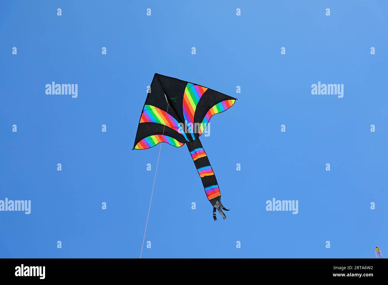 Kites are flying in the air Stock Photo - Alamy