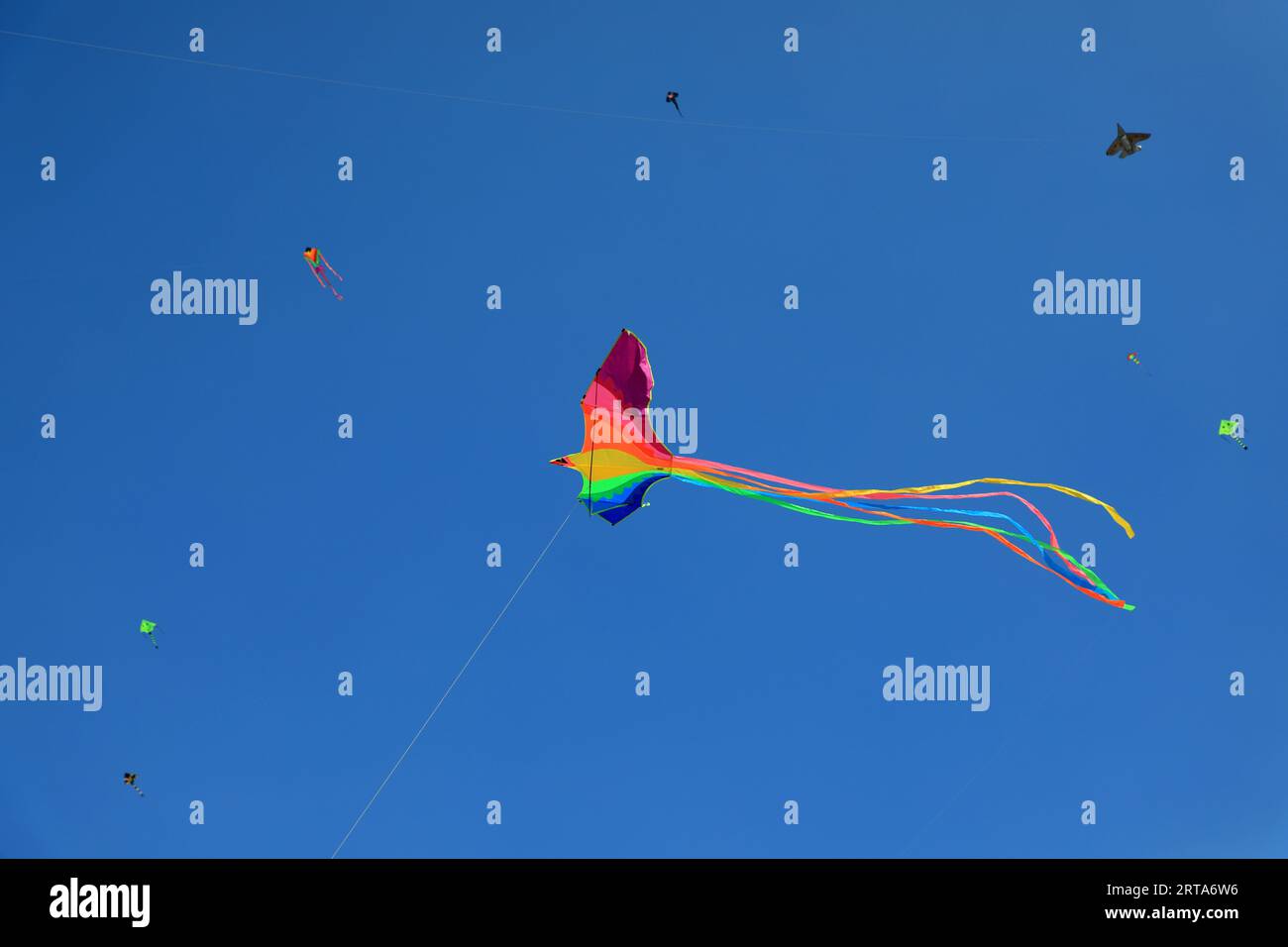 Kites are flying in the air Stock Photo - Alamy