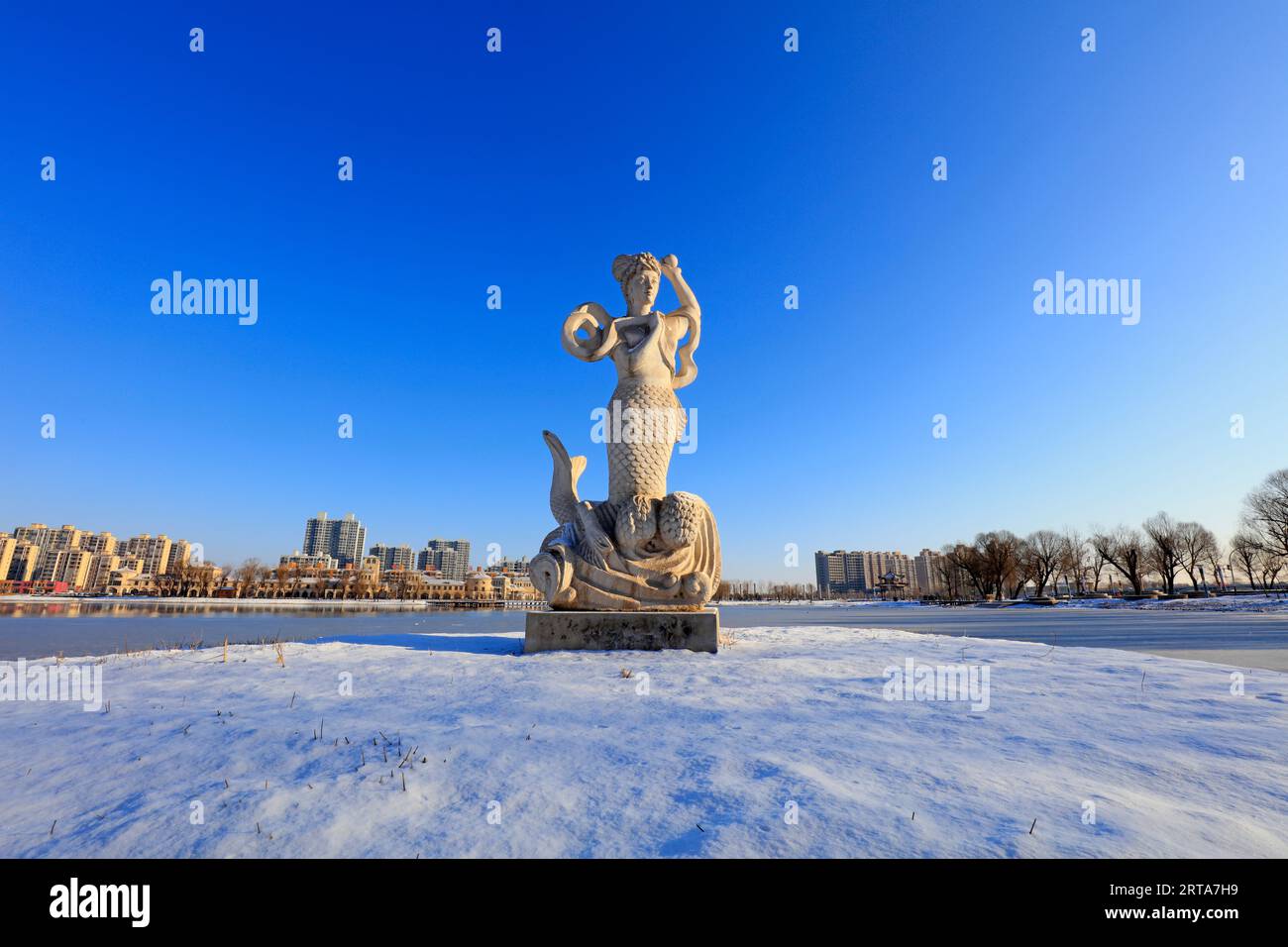 Real mermaid hi-res stock photography and images - Alamy