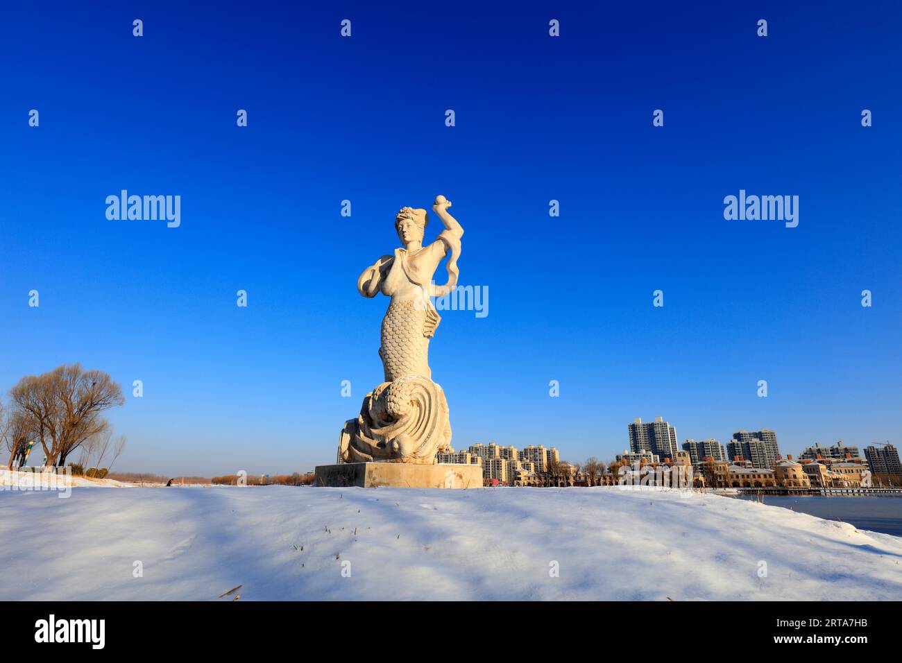 Real mermaid hi-res stock photography and images - Alamy