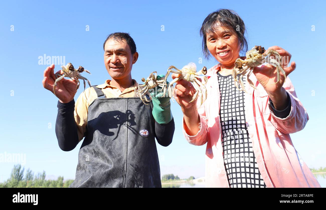 ZHANGYE, CHINA - SEPTEMBER 11, 2023 - Two farmers show a hairy crab to ...