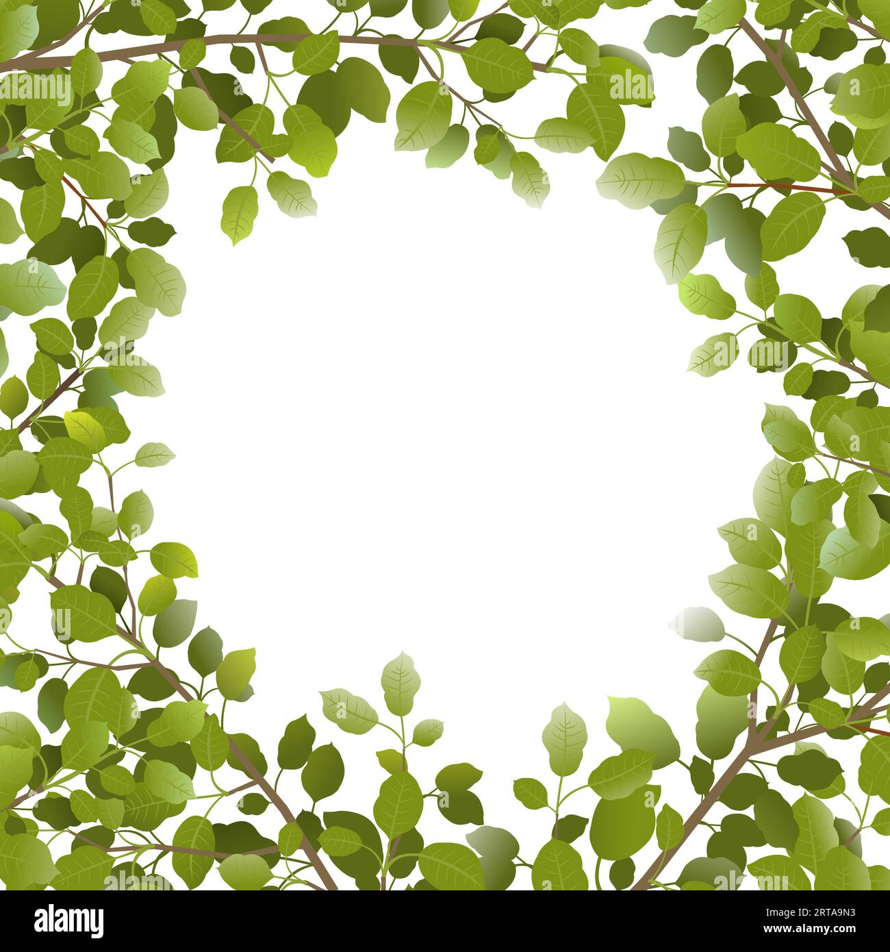 Tree branches with green leaves around edge of picture. Frame from ...