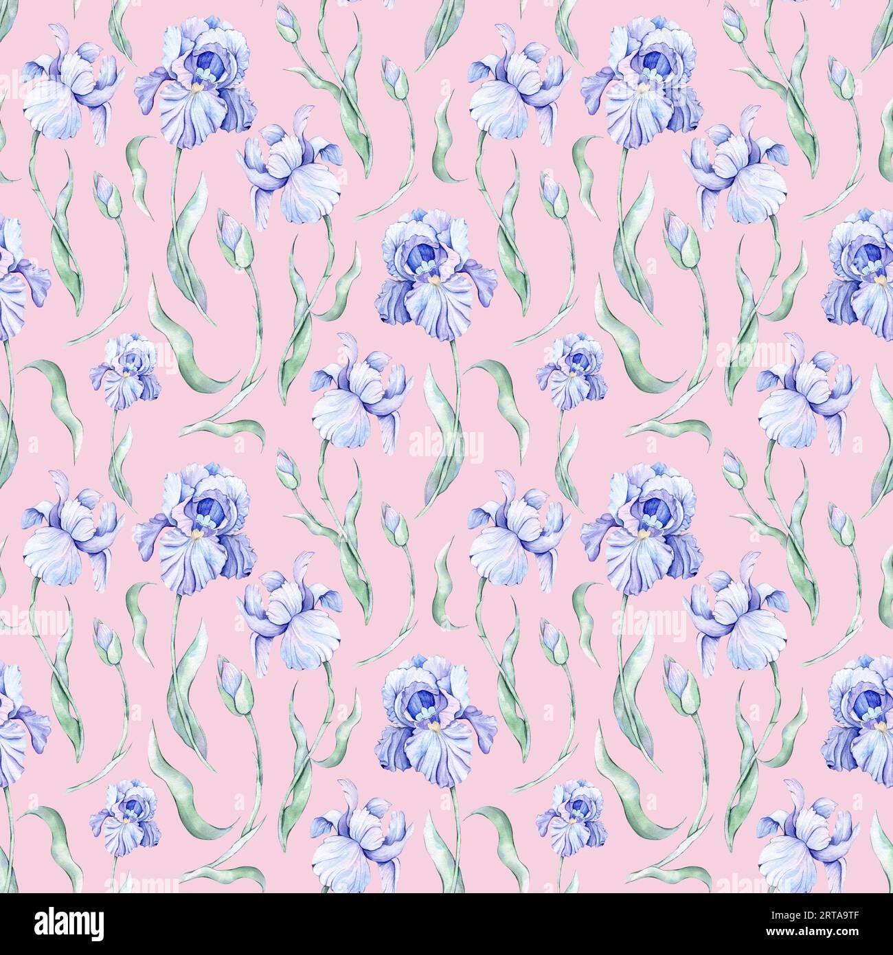 Wallpaper irises hi-res stock photography and images - Alamy