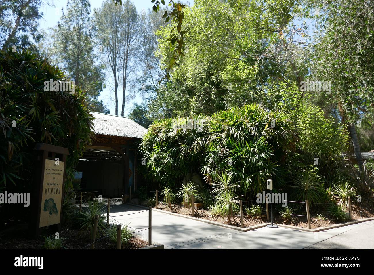 Los Angeles, California, USA 30th August 2023 Komodo Dragon Exhibit at ...
