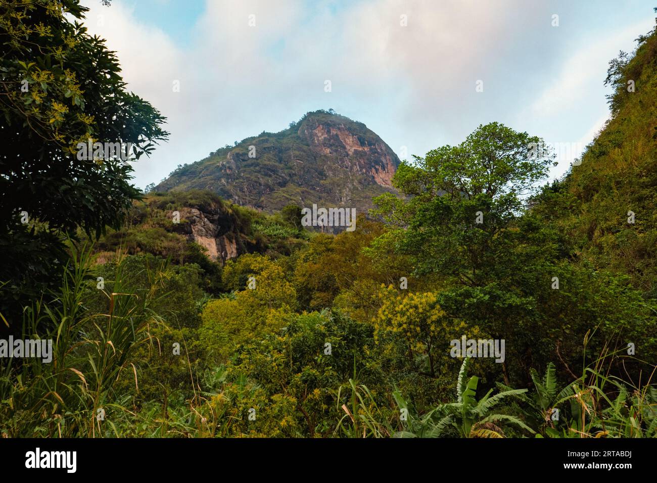 Scenic mountain landscapes at Lupanga Peak Trail in Uluguru Mountains ...