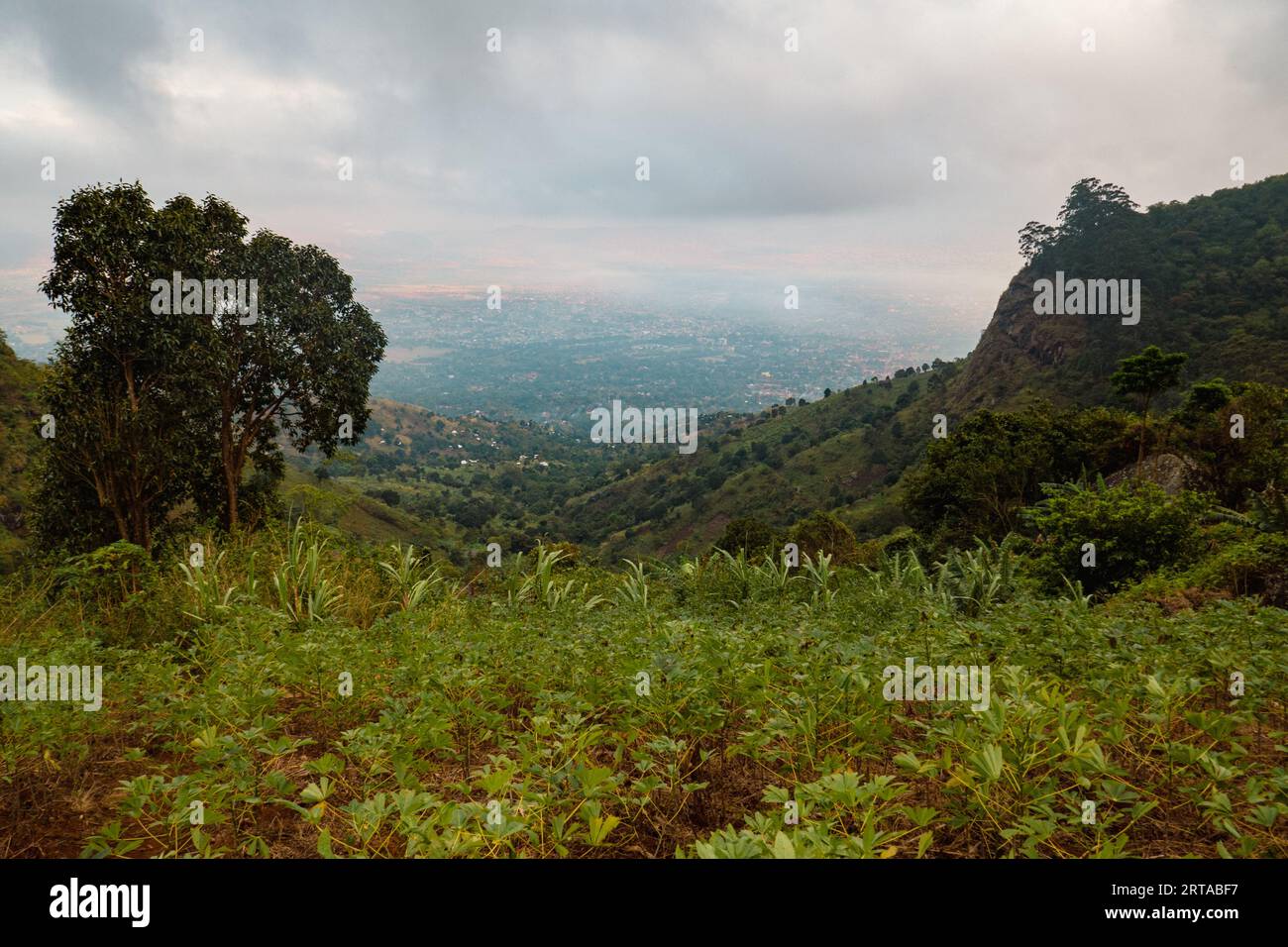 Aerial view of Morogoro Town at sunset seen from Uluguru Mountains in ...