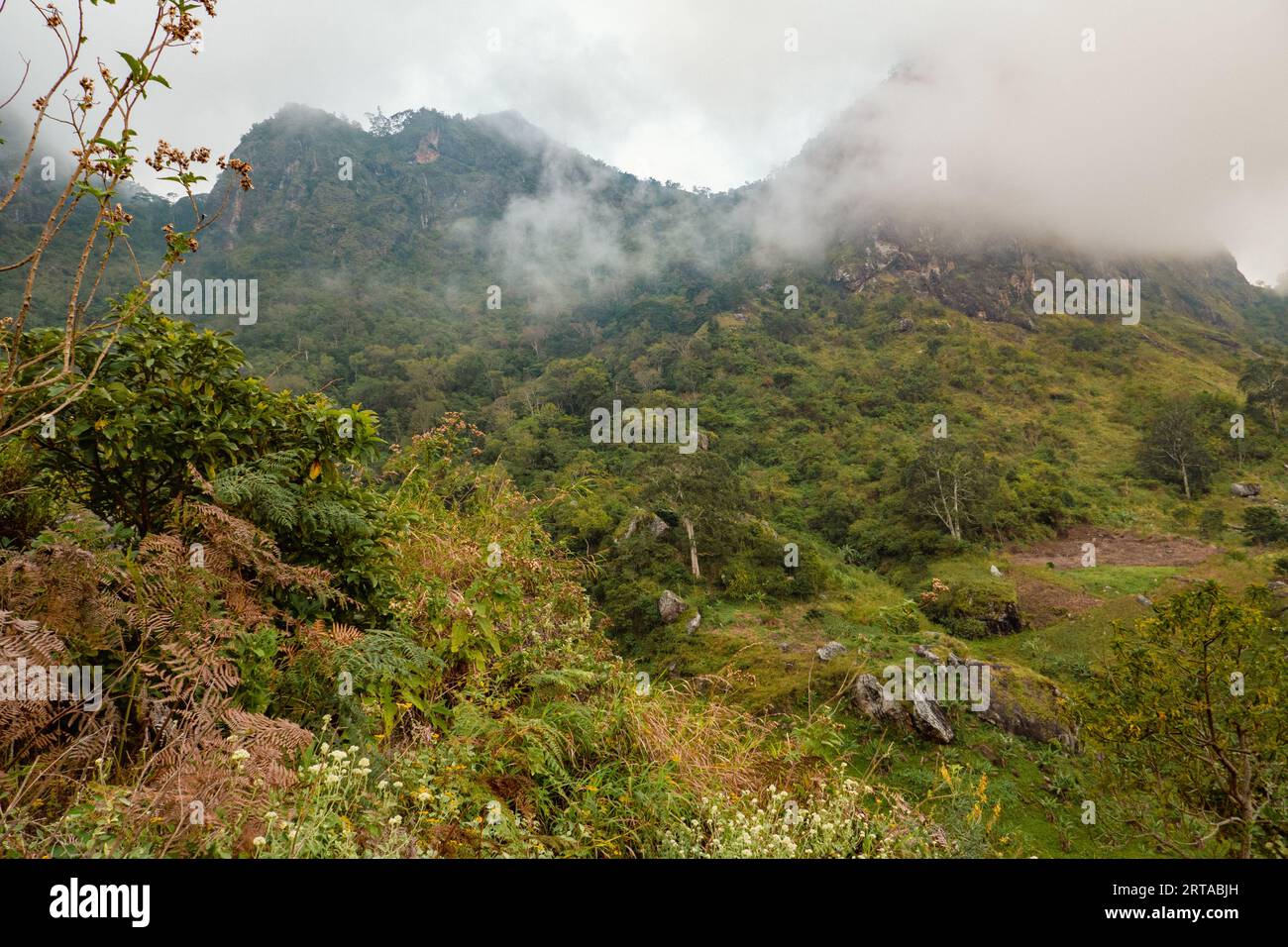 Scenic mountain landscapes at Lupanga Peak Trail in Uluguru Mountains ...