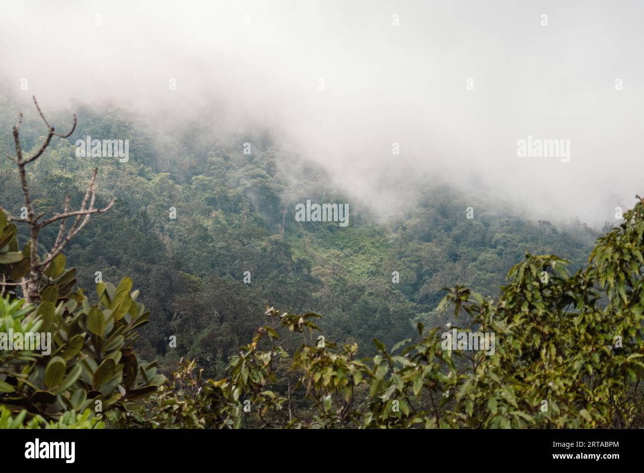 Scenic mountain landscapes at Lupanga Peak Trail in Uluguru Mountains ...