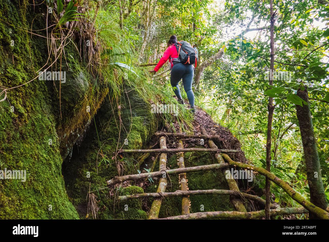 Female hiker walking on wooden hi-res stock photography and images - Alamy