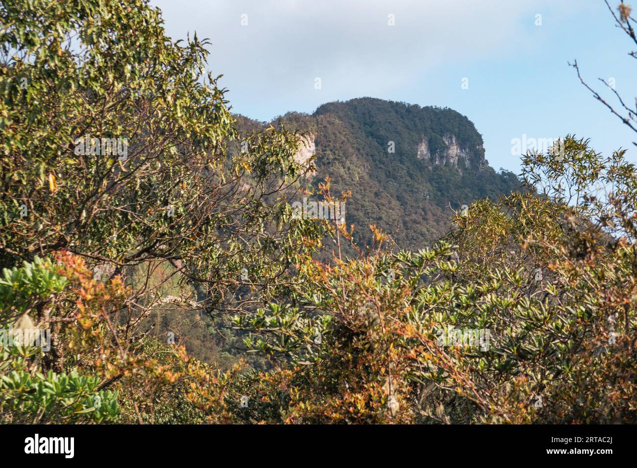 Scenic mountain landscapes at Lupanga Peak Trail in Uluguru Mountains ...