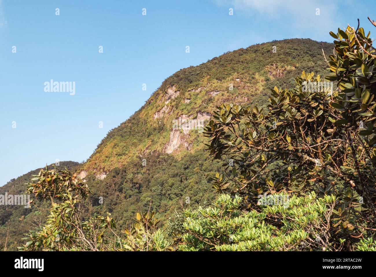 Scenic mountain landscapes at Lupanga Peak Trail in Uluguru Mountains ...