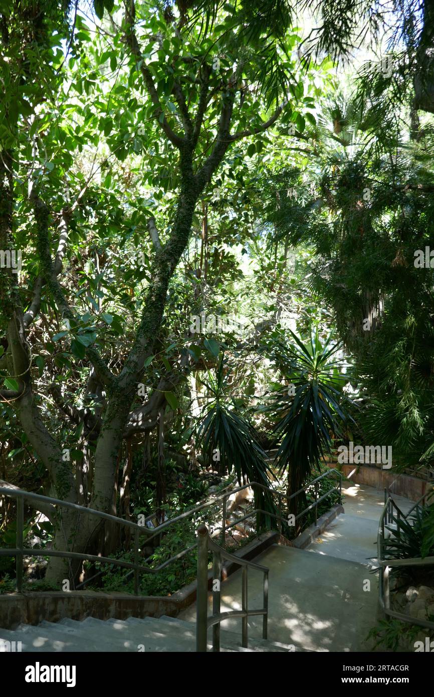 Los Angeles, California, USA 31st August 2023 Aviary at LA Zoo on ...