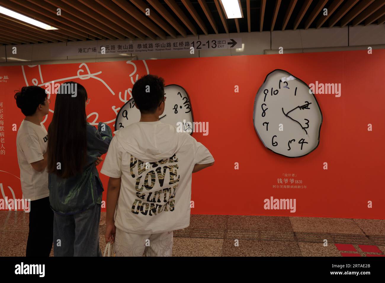 The clock drawing tests conducted by elderly people with Alzheimer's ...