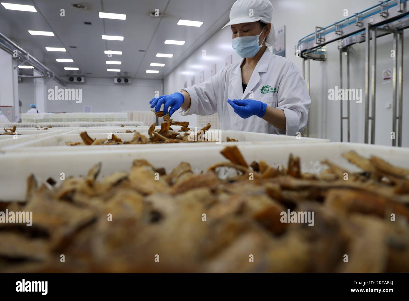 Prefabricated dishes hi-res stock photography and images - Alamy