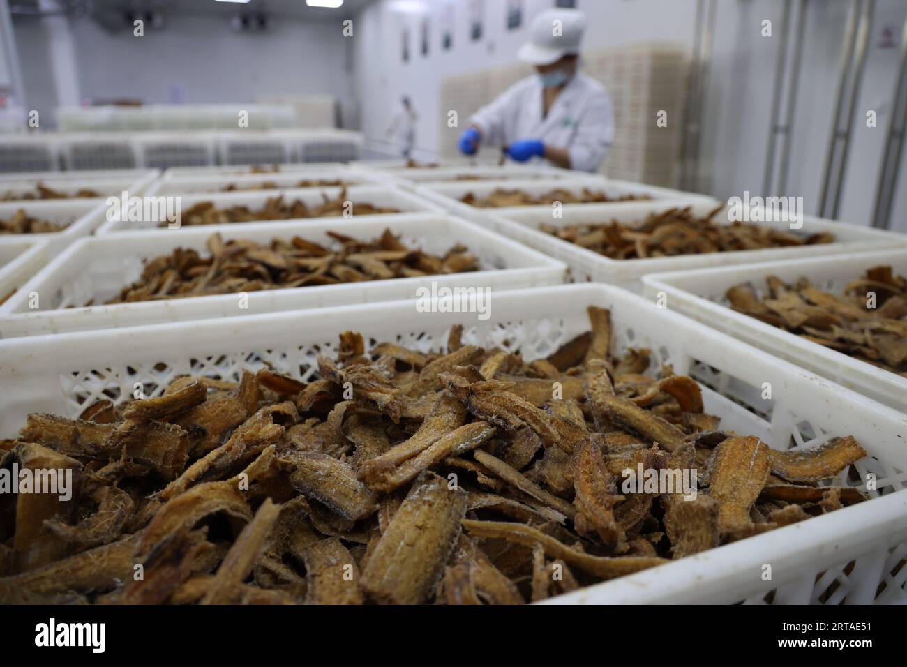 Prefabricated dishes hi-res stock photography and images - Alamy