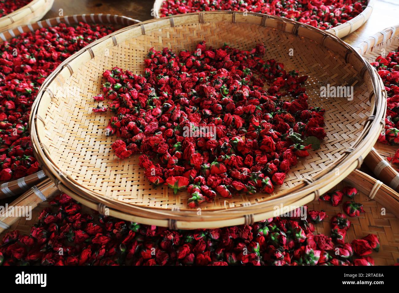 The dried roses are in the basket, in a rose processing factory, Sanya ...