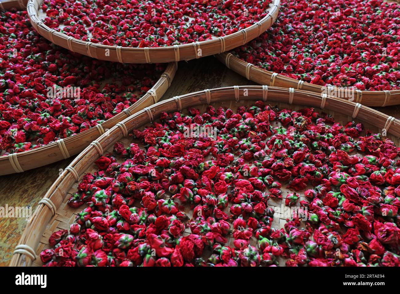 The dried roses are in the basket, in a rose processing factory, Sanya ...