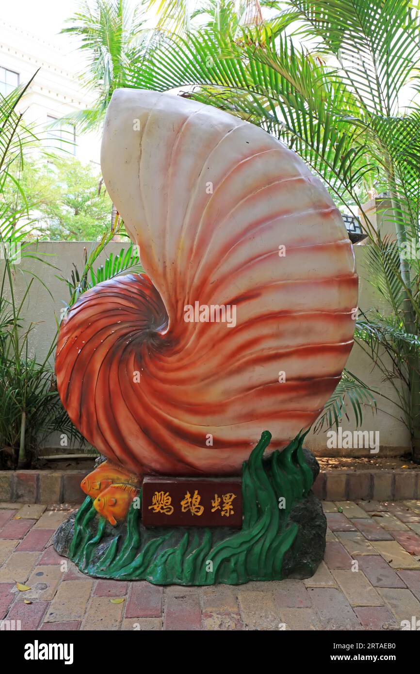 Huge shell hi-res stock photography and images - Alamy