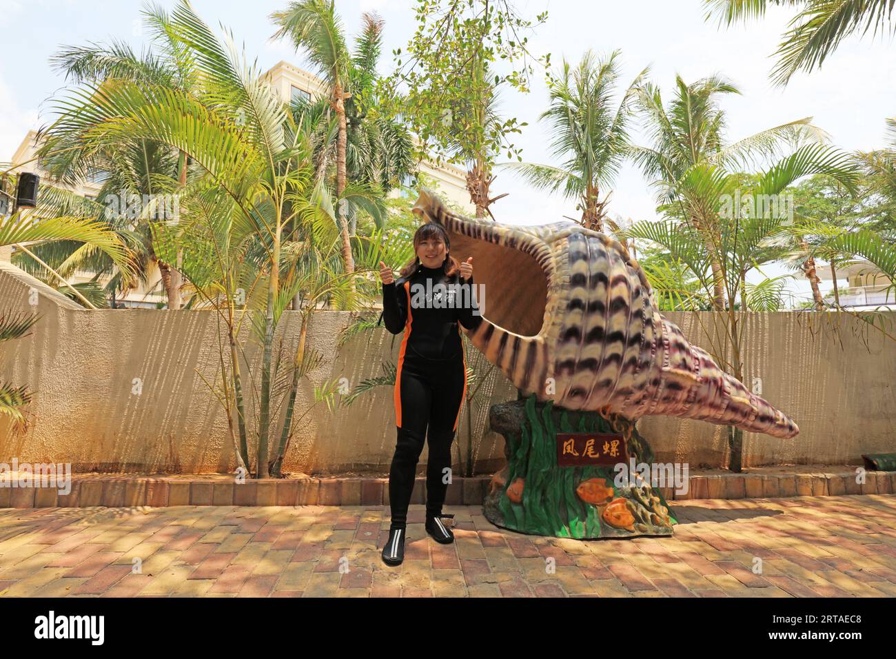 Conch sculptures hi-res stock photography and images - Alamy