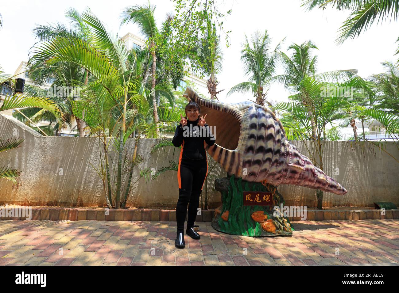 Conch sculptures hi-res stock photography and images - Alamy