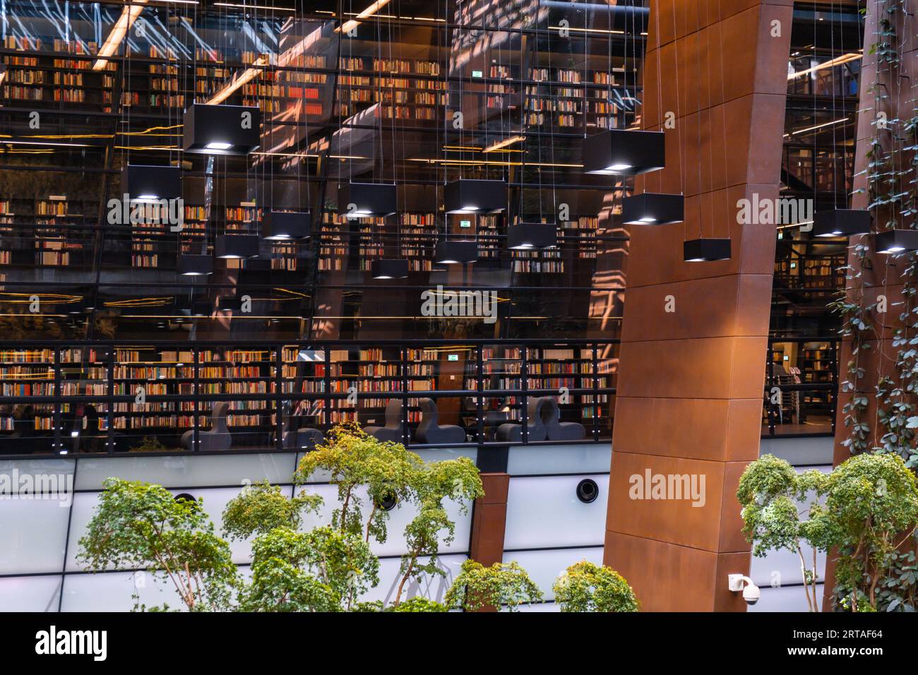 Public Library architecture bookcase Indoor trees Modern interior ...