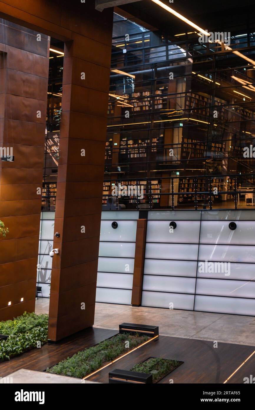Public Library architecture bookcase Indoor trees Modern interior ...