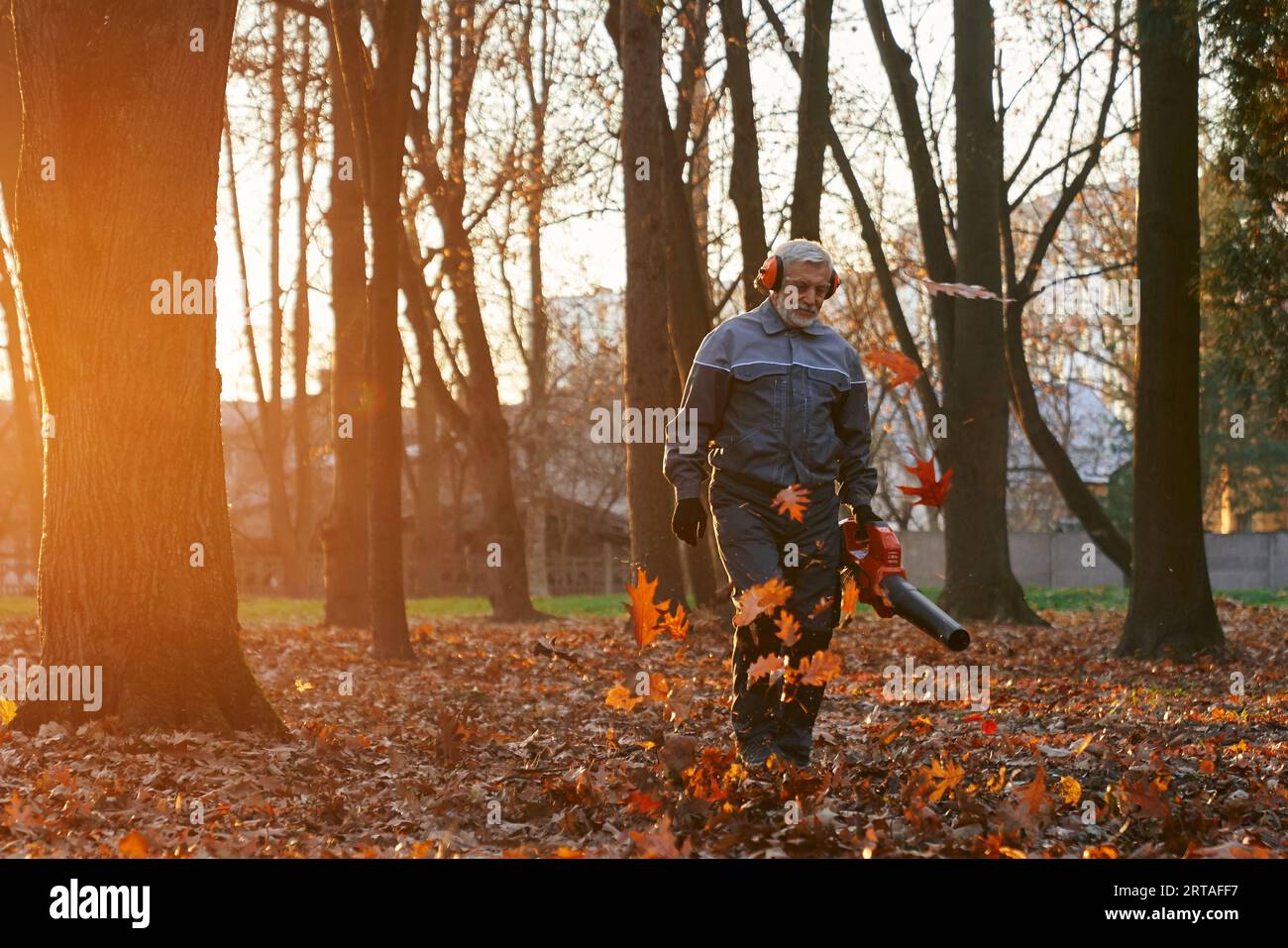 Senior man removing trees leaves from backyard with portable blower ...