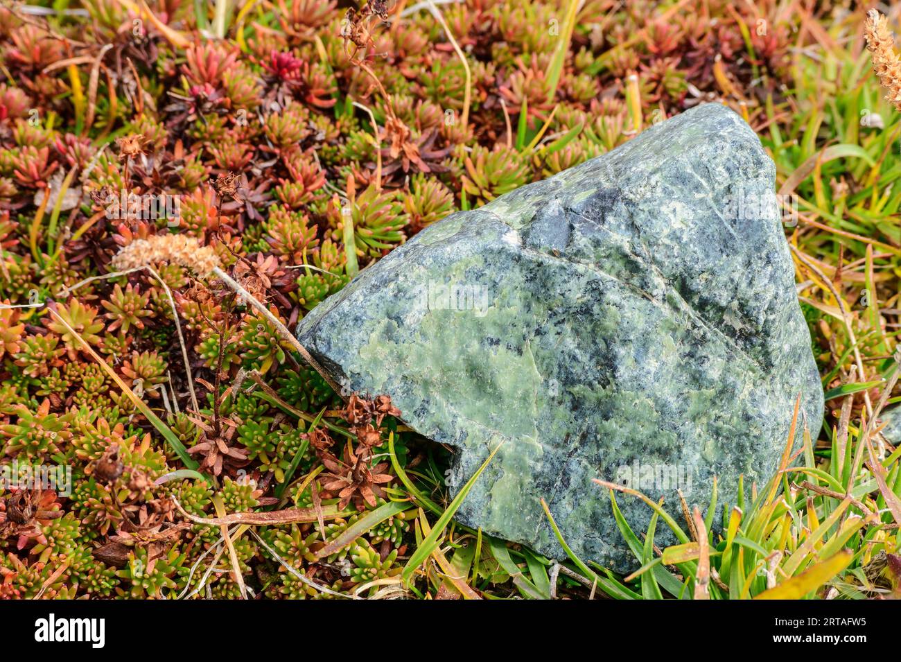 Serpentinite at Lunghinsee, Innquelle, Albula Alps, Graubünden ...