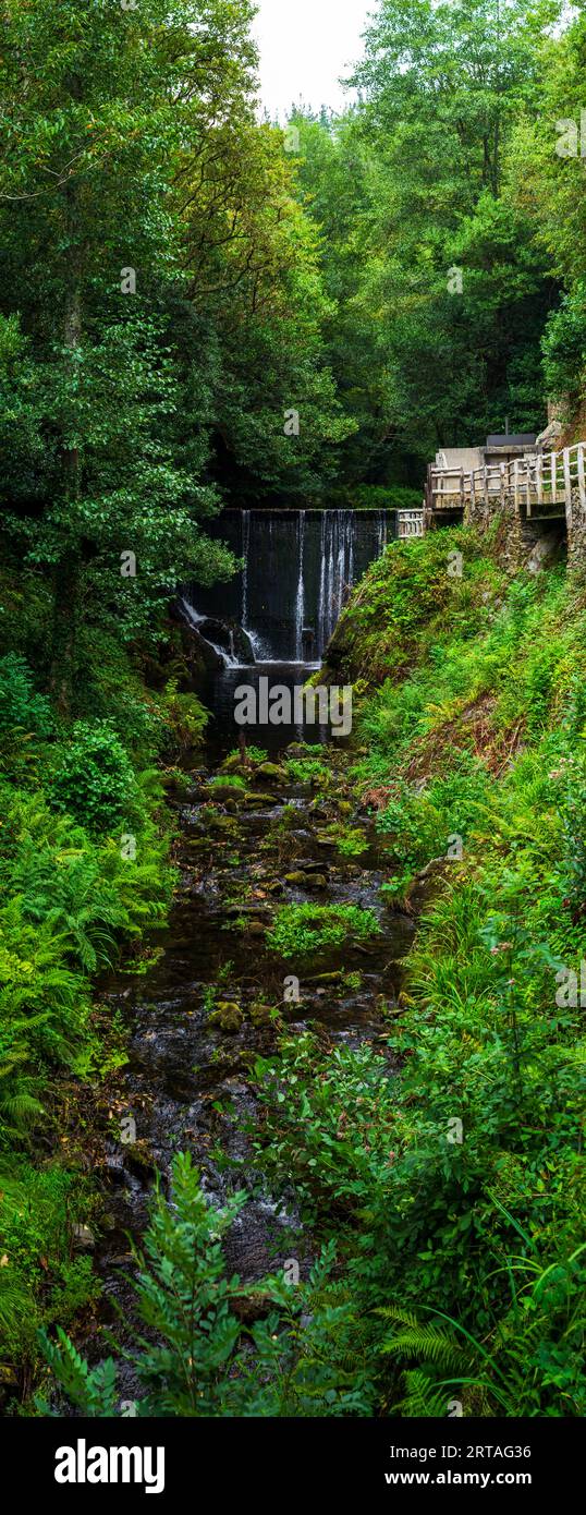 The majestic beauty of Mazonovo Mills waterfall, located in the lush ...