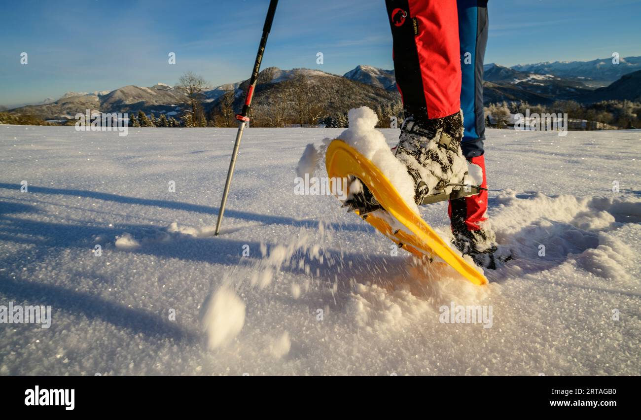 Closeup shot snowshoes winter hiker hi-res stock photography and images ...