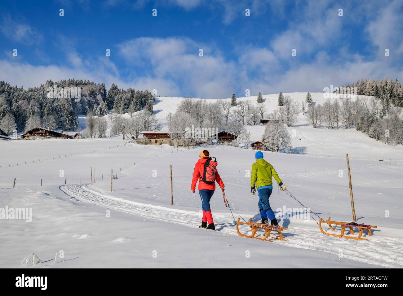 Man and woman pulling sledges to Hohen Asten, Hohe Asten, Bavarian Alps ...