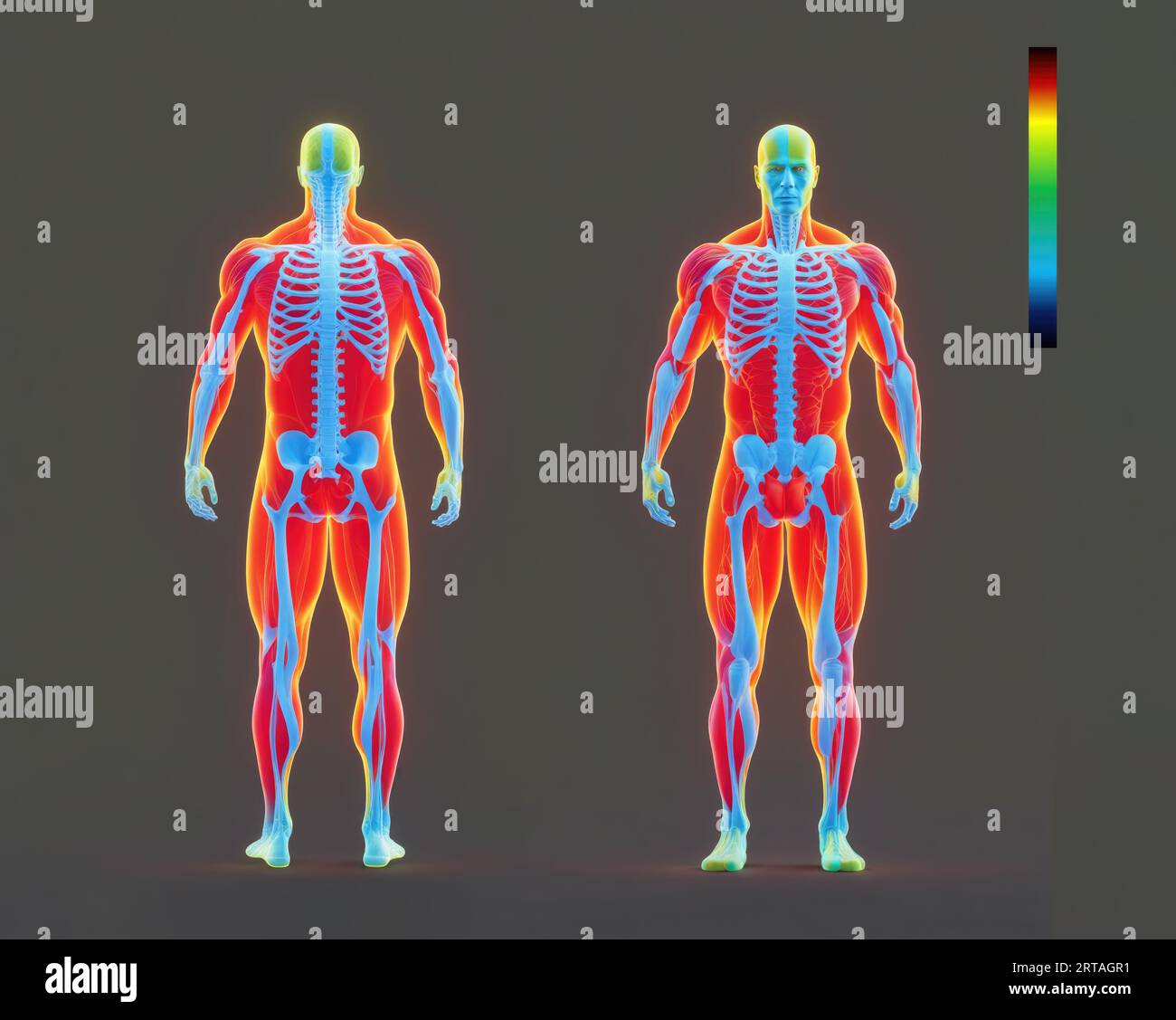 Infrared Human Image at Kenneth Bray blog
