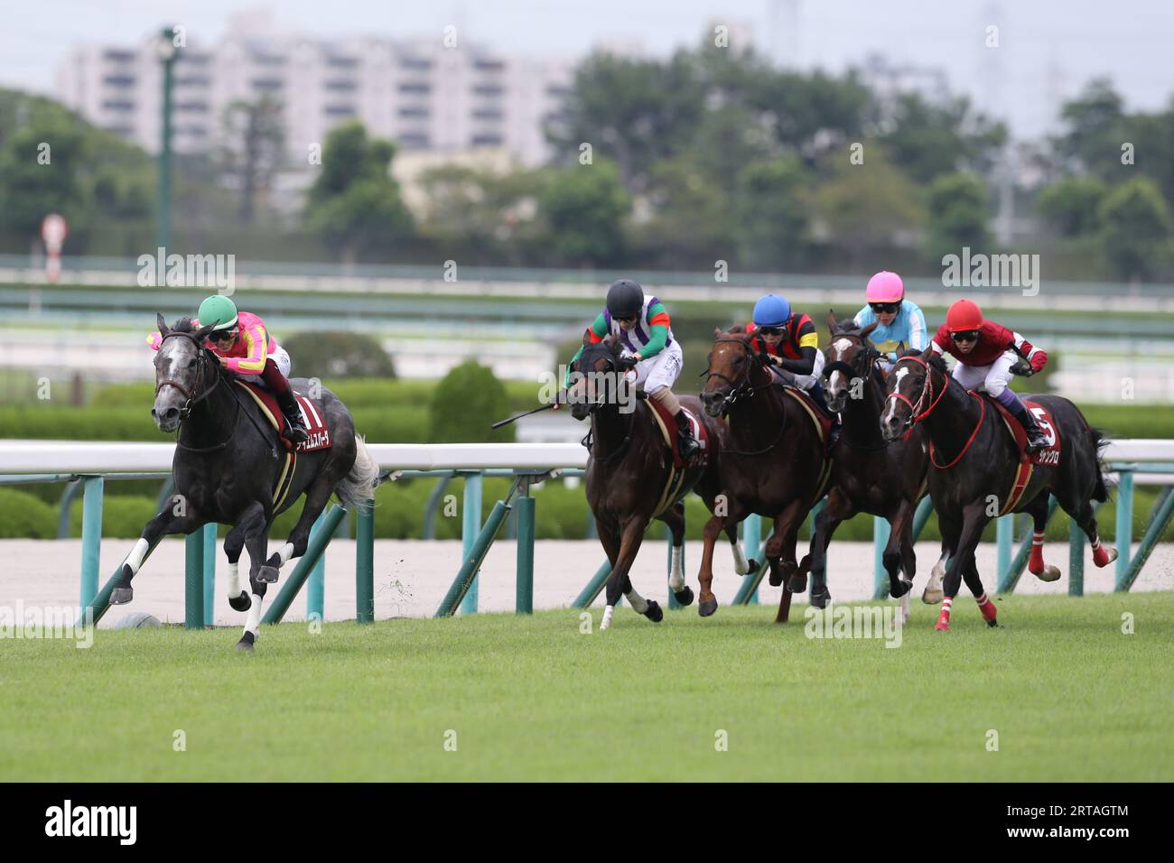 T M Spada and jockey Akatsuki Tomita win the Sankei Sho Centaur Stakes ...