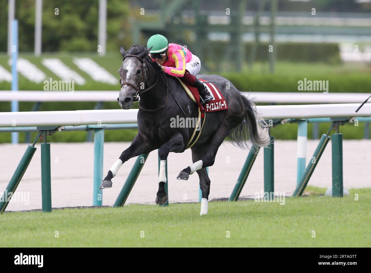 Hyogo, Japan. 10th Sep, 2023. T M Spada and jockey Akatsuki Tomita win ...